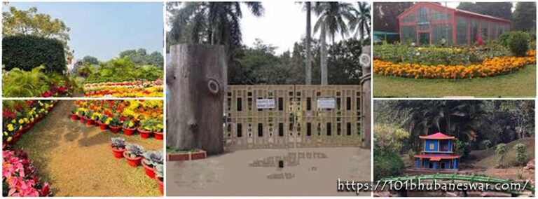 #024 – Botanical Garden Bhubaneswar: A Living Showcase of Odisha’s ...
